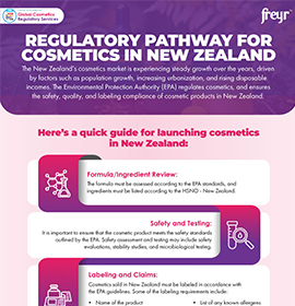 Regulatory Pathway for Cosmetics in Argentina | Freyr - Global ...